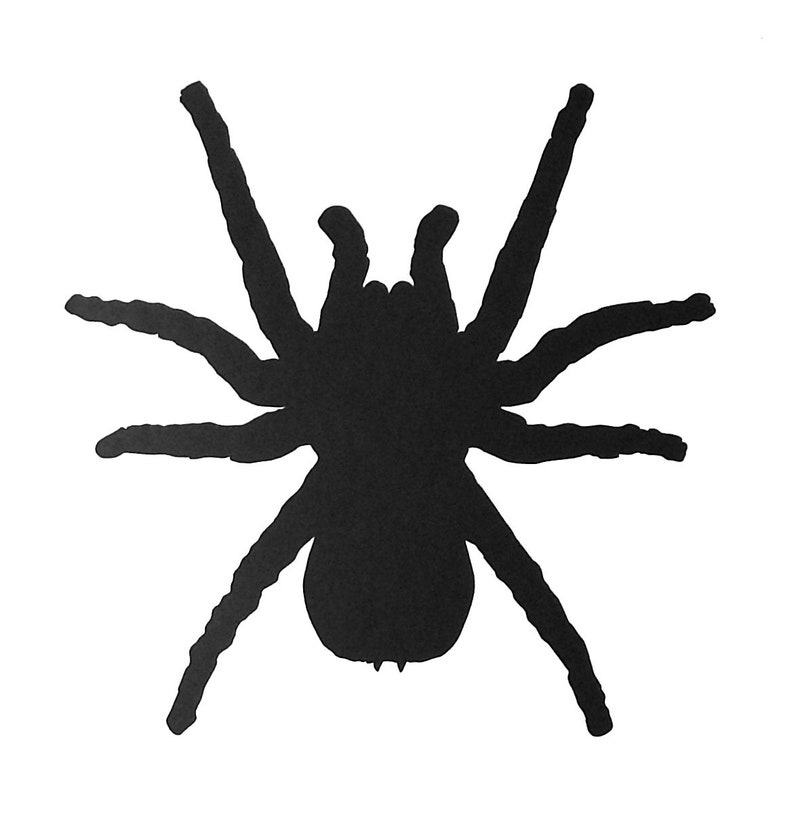 Spider Vinyl Decal Sticker for Window,car,van,truck,laptop,etc. - Etsy