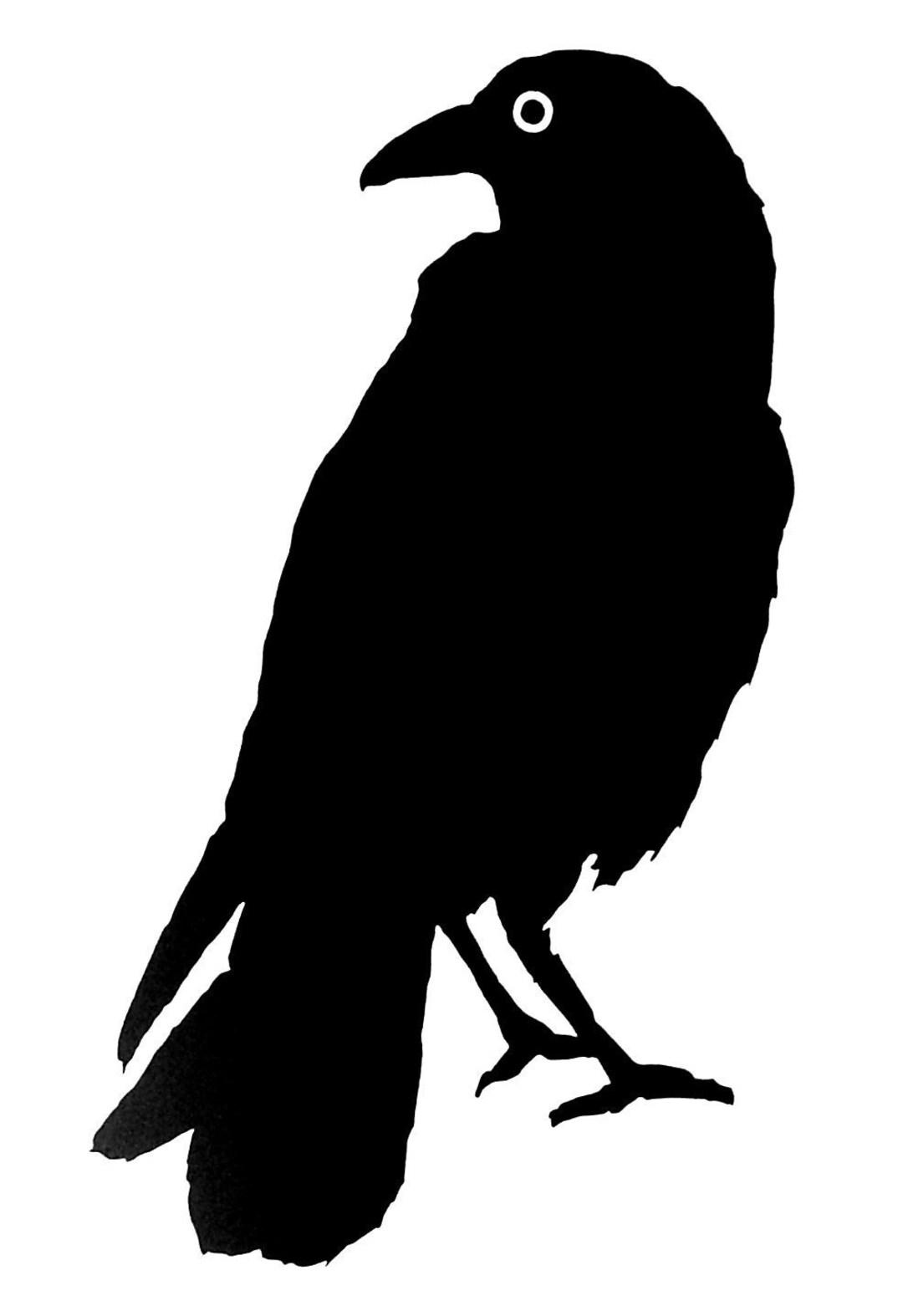 Raven Vinyl Decal Sticker for Window,car,truck,laptop,etc. - Etsy