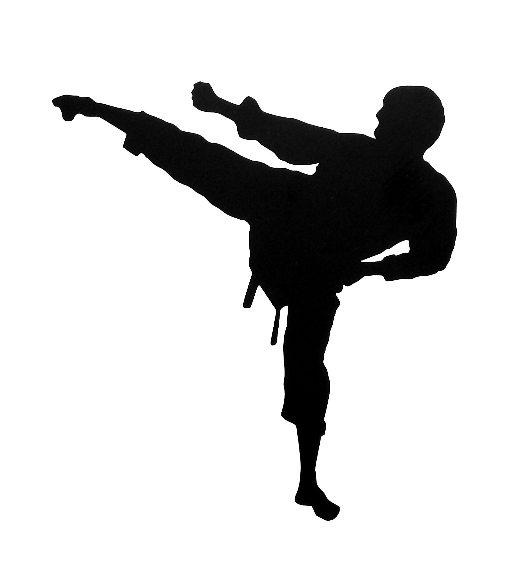 Karate Fighter Vinyl Decal Sticker for Window,car,van,truck,camper ...
