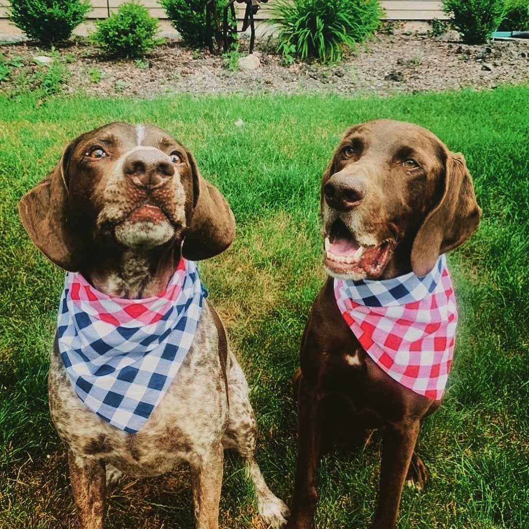 Red / Blue Gingham Reversible Bandana - Etsy