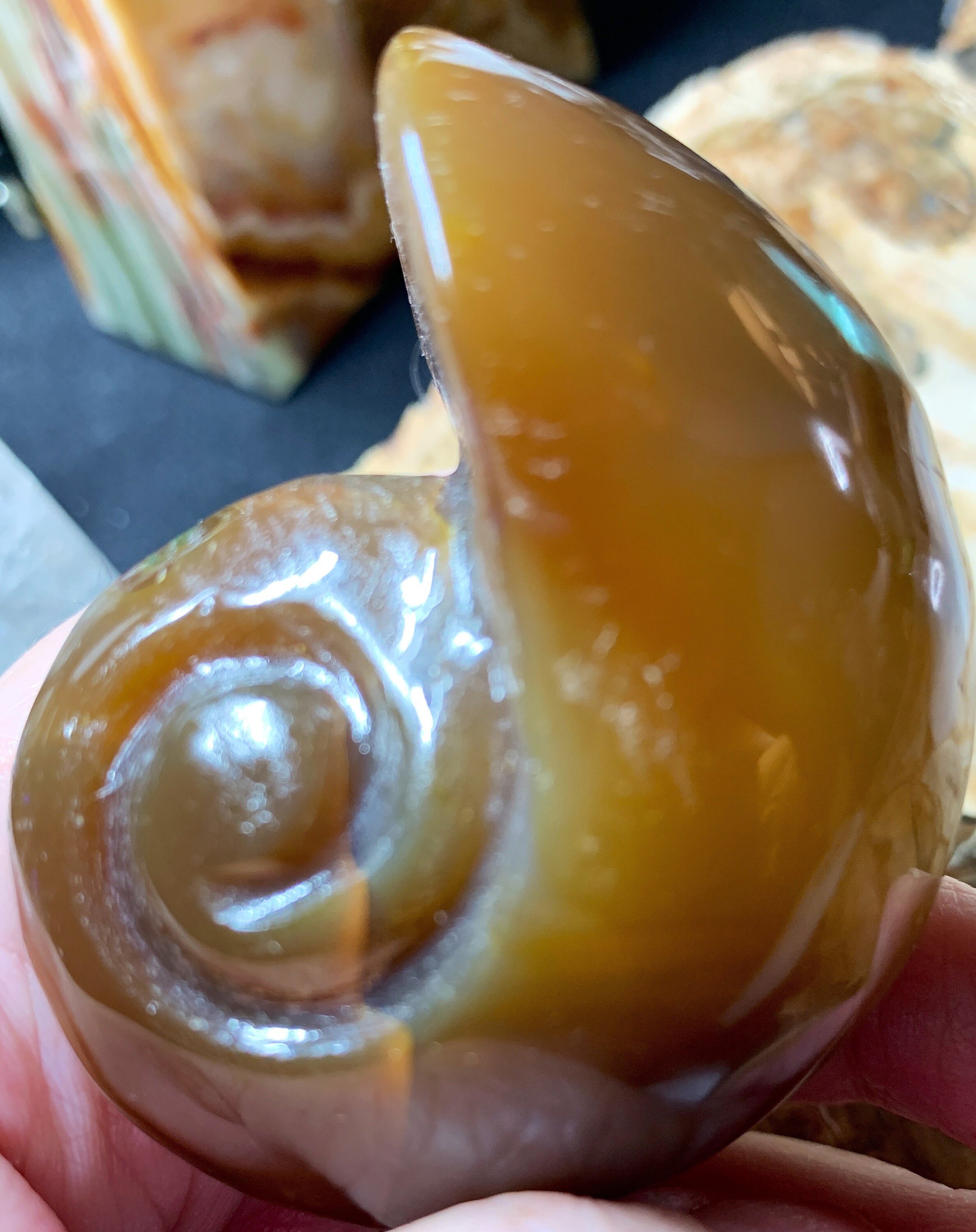 Brown Agate Sea Snail With Natural Geodes. 2.3 - Etsy