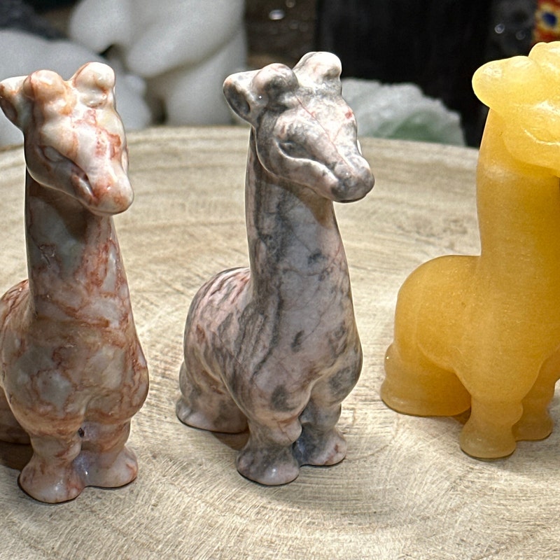 Painted Rock Giraffe - Etsy