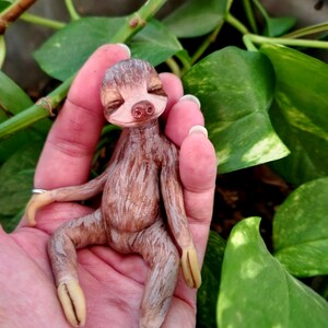 SQUISHY ! Silicone Baby Sloths, ! Realistic Sloth Babies up for ...