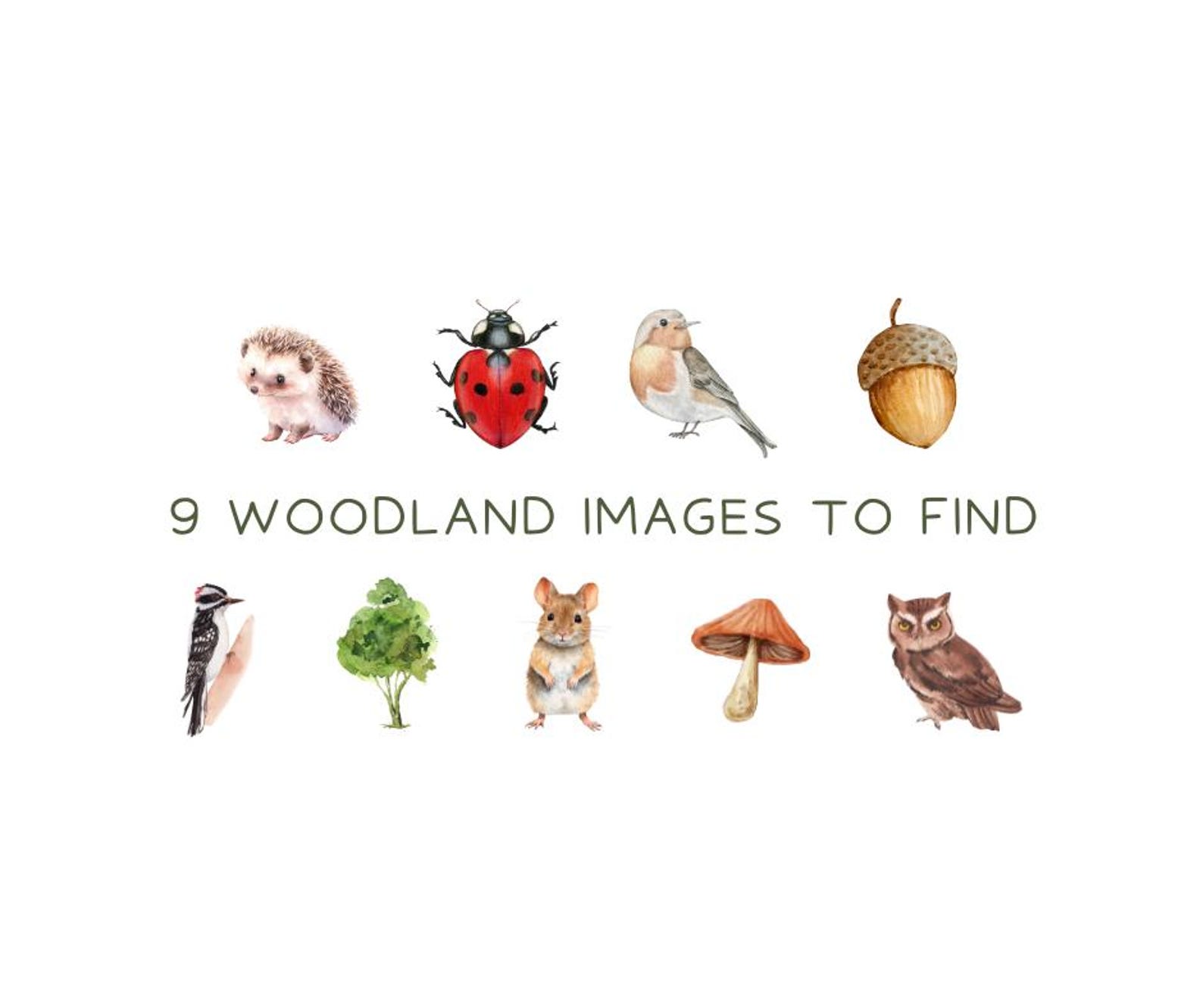 Woodland Adventure: A Scavenger Hunt for Little Explorers - Etsy
