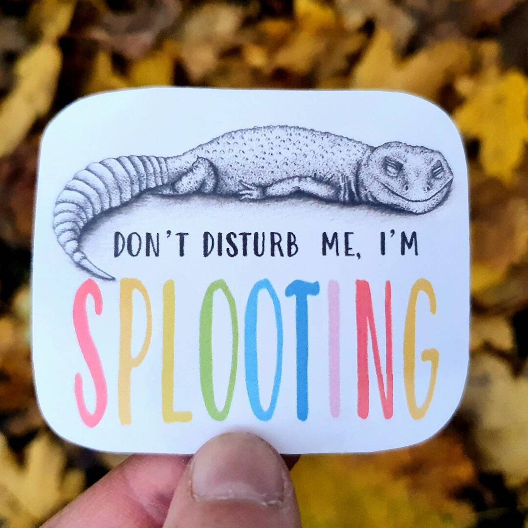 Vinyl Leopard Gecko Don't Disturb Me I'm Splooting Vinyl Sticker ...