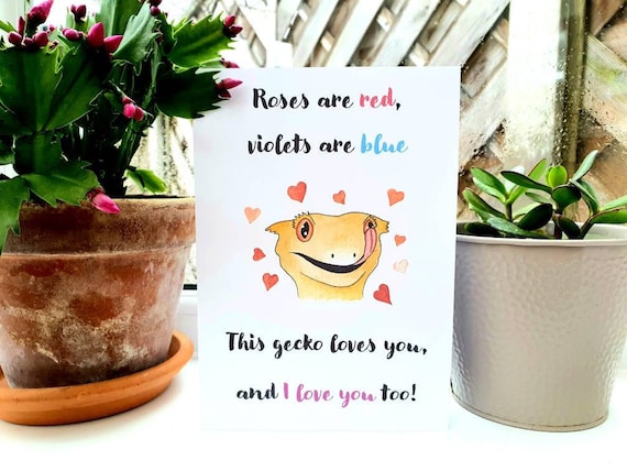 Crested Gecko Valentines Anniversary Card Crested Gecko Gift | Etsy
