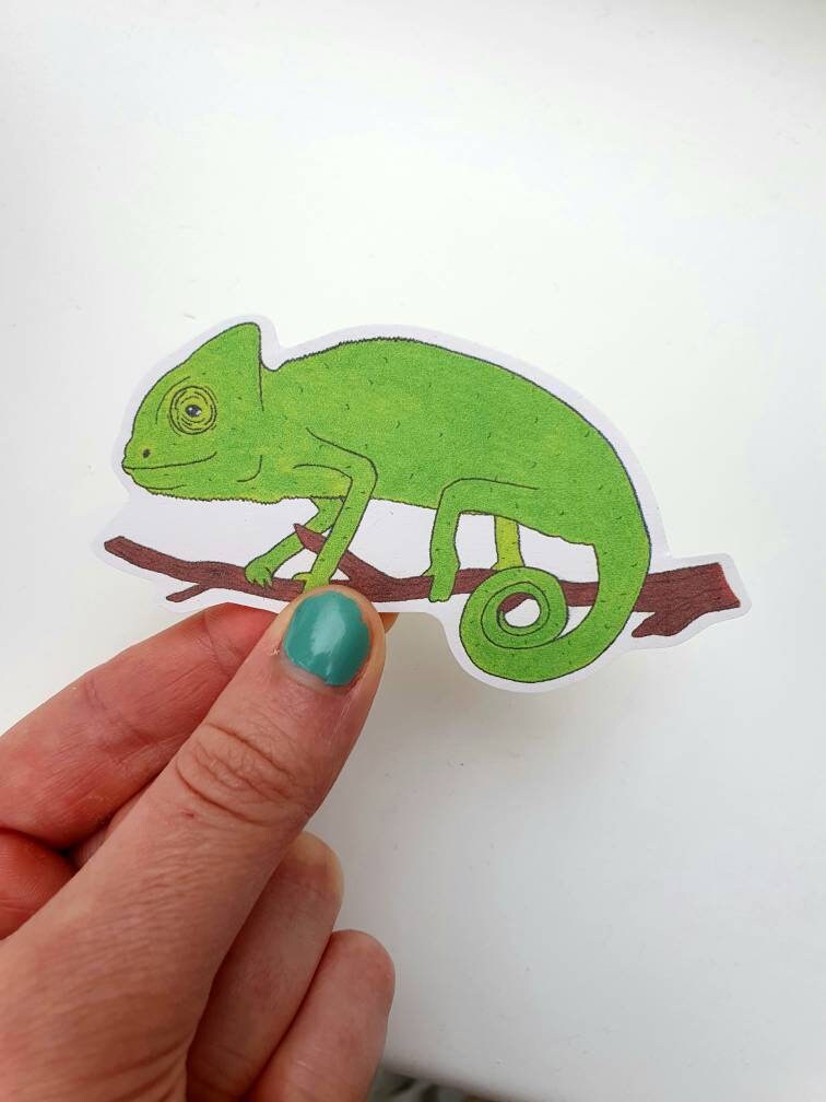 Chameleon Sticker pack of 4 Chameleon Decor Chameleon - Etsy UK