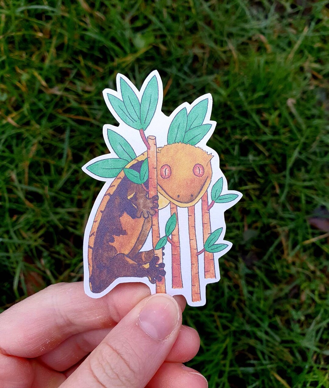 Pack of 4 Crestie Stickers, Crested Gecko, Crested Gecko Gifts, Crested ...