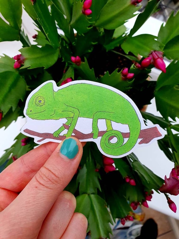 Chameleon Sticker Pack of 4 Chameleon Decor Chameleon | Etsy