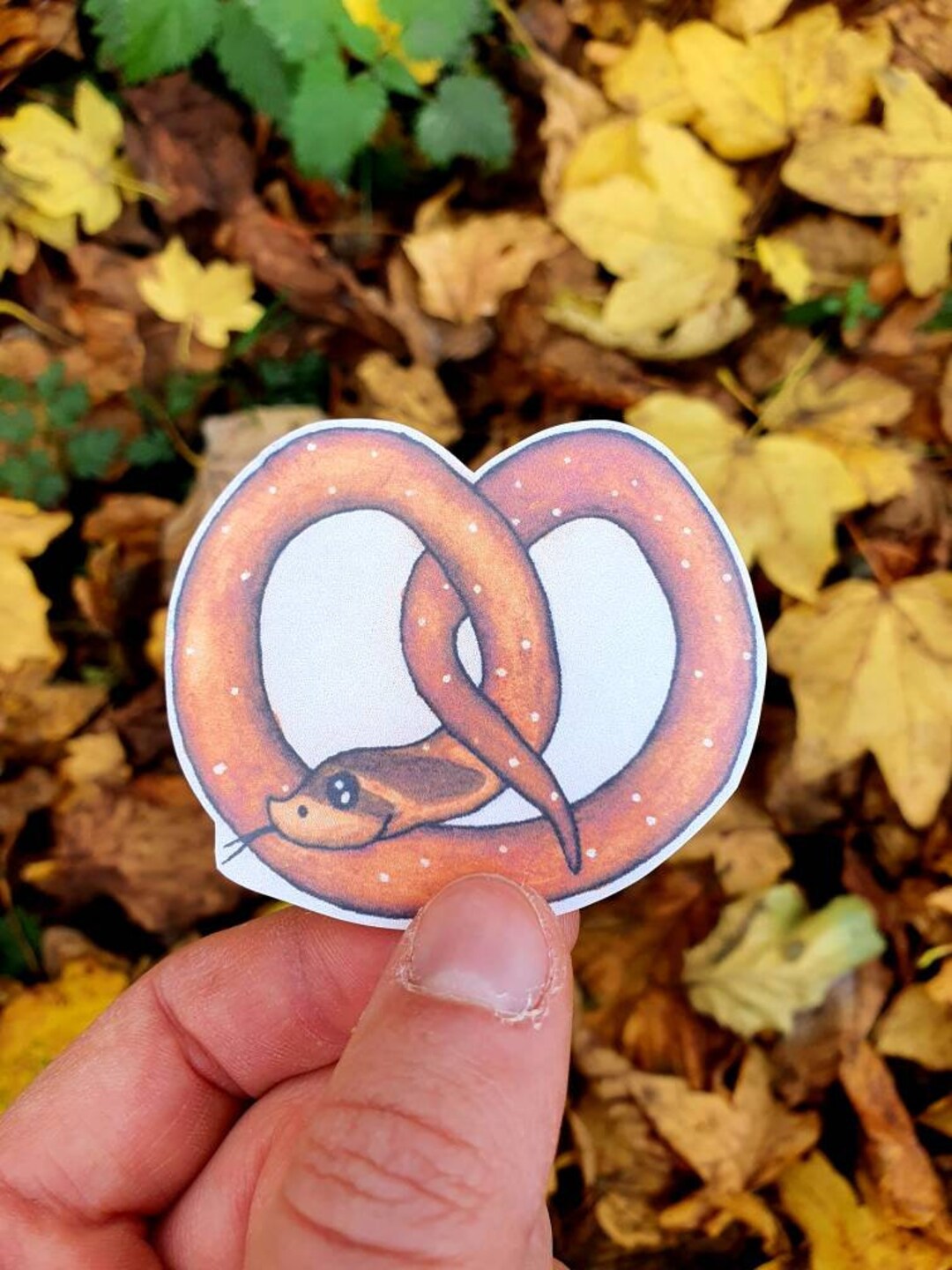 Hognose Pretzel Stickers (4 Pack), Hognose Snake, Hognose Sticker ...