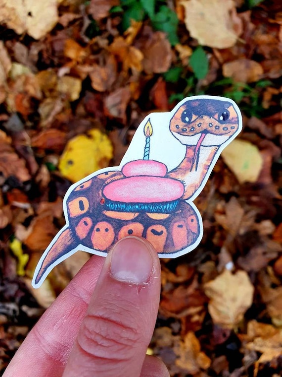 Ball Python Hat Ball Python Cake Stickers (Pack Of 4), Royal Python