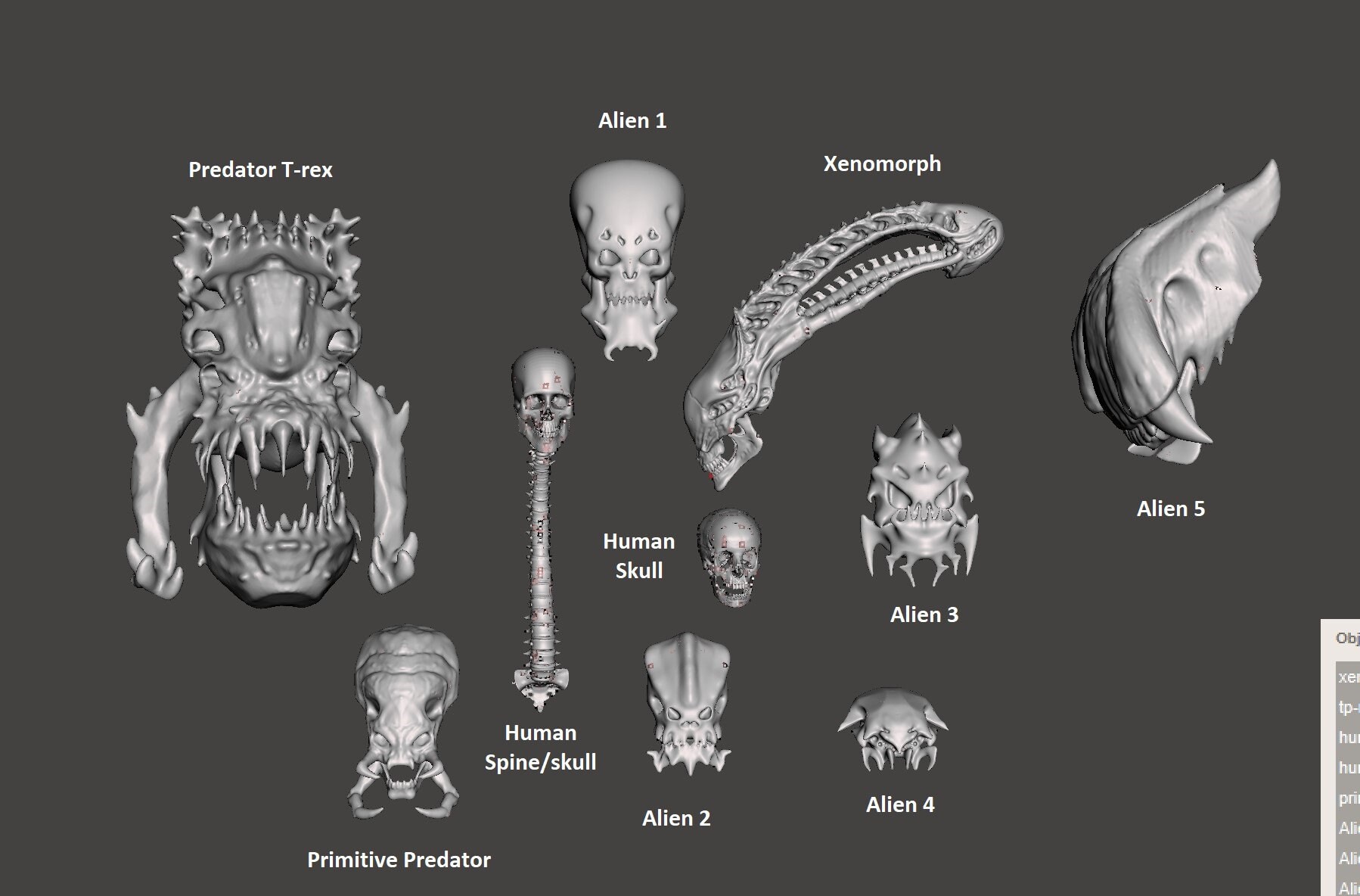 Xenomorph Skull Replica