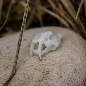 Extinct Animal Miniatures (dinosaur Skulls) – Mini Resin Models - Etsy