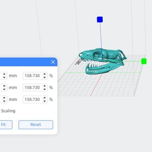 Boa Constrictor Skull - Resin Life-like Replica - Etsy