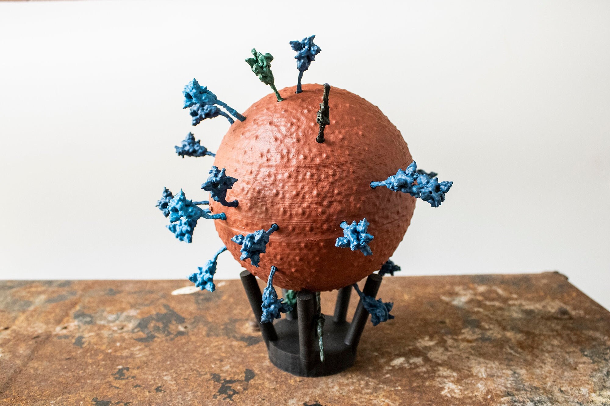 Mumps Virus 3d Model