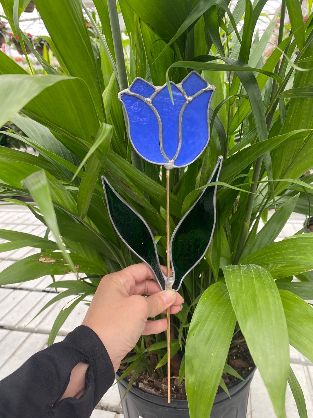 Tulip-periwinkle - Etsy