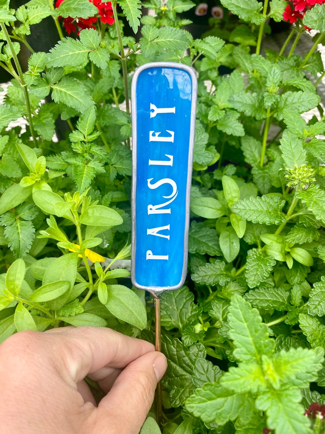 Herb Stake-parsley - Etsy