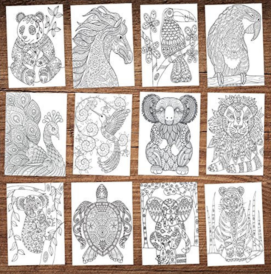 Cartes à colorier Animal Kingdom : motifs animaliers créatifs, paquet ...