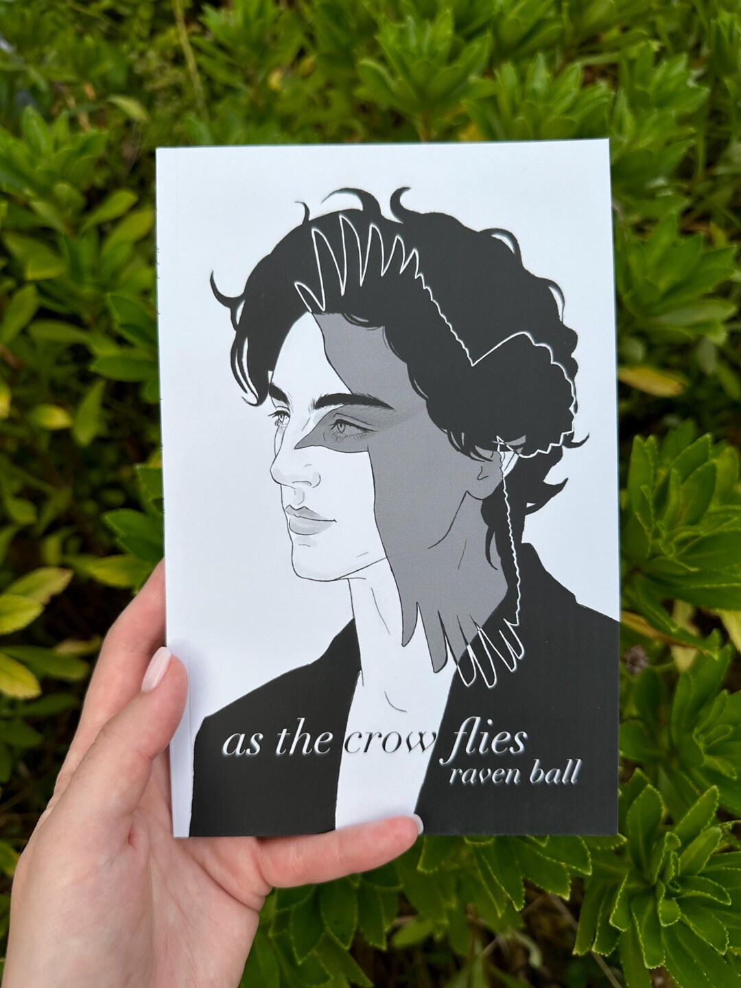 As the Crow Flies: Raven Ball, Comic - Etsy