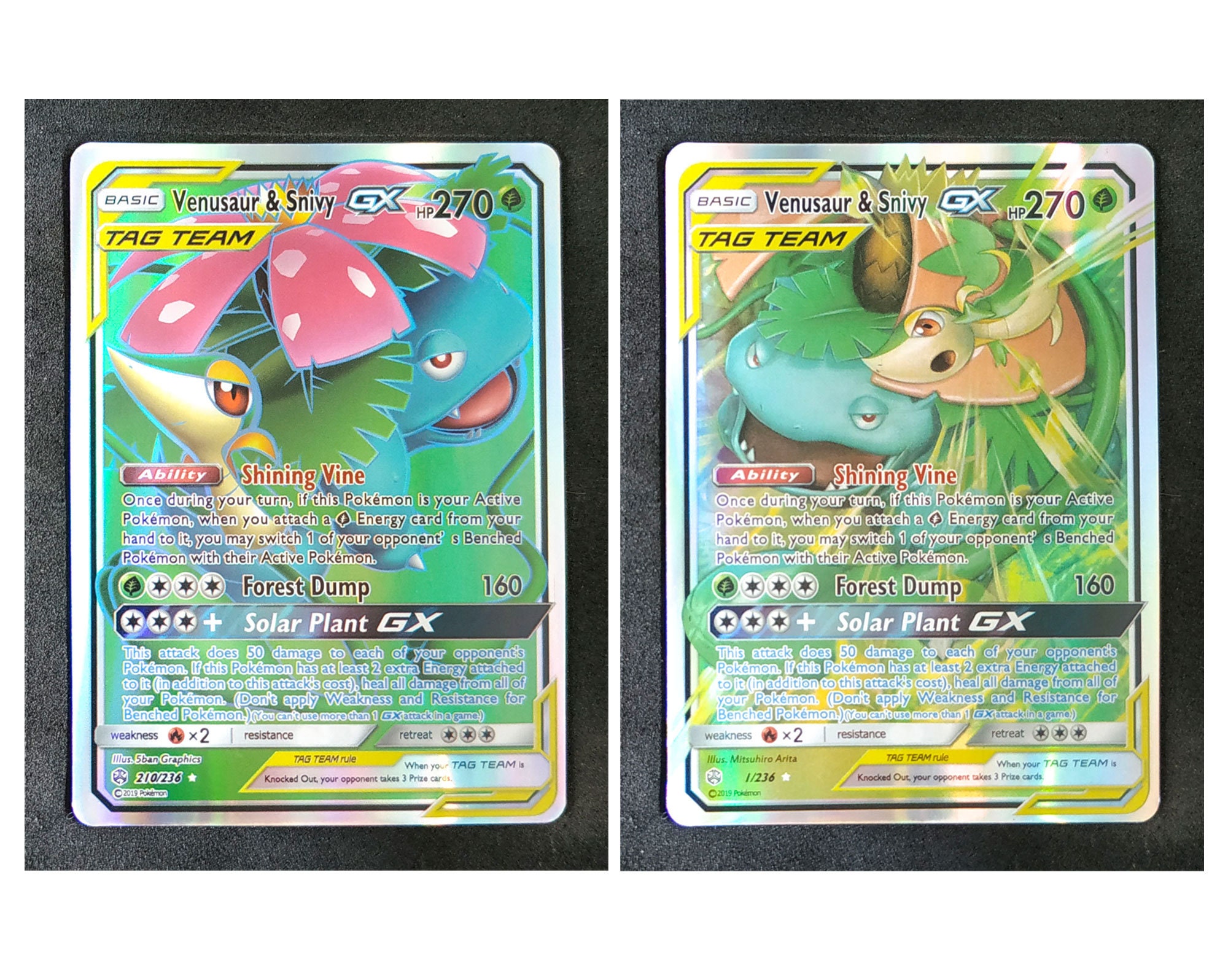 Snivy Ex Card