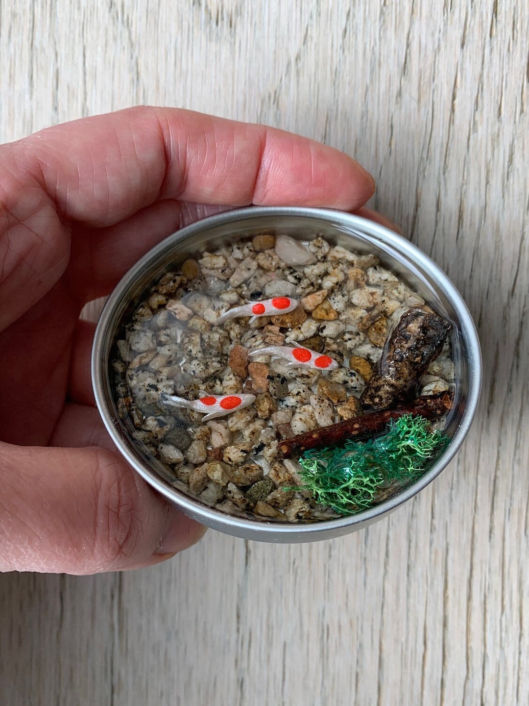 Miniature Koi Pond Koi Rocks Wood and Moss - Etsy