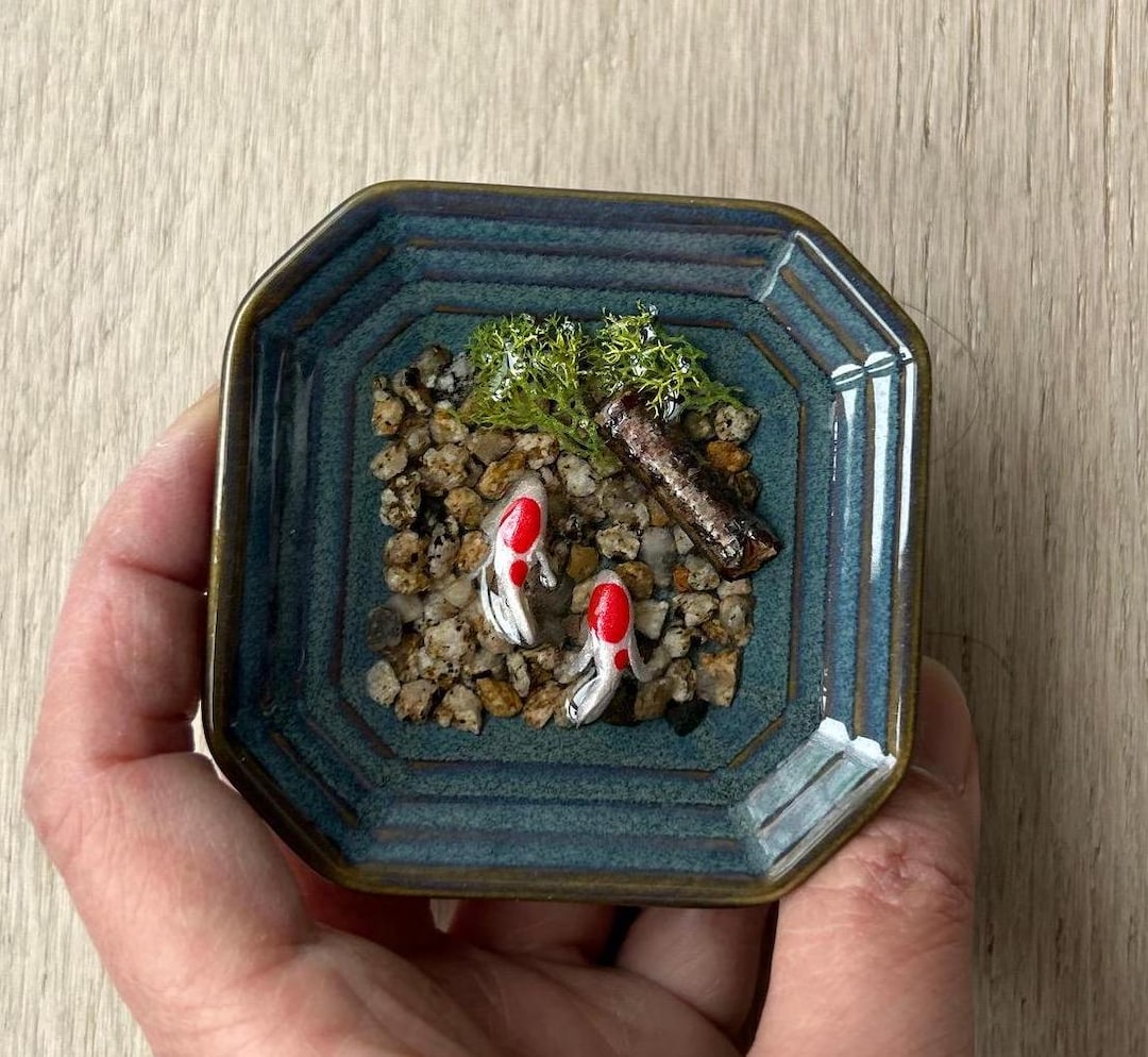 Miniature Koi Pond - Koi, Ceramic Bowl, Rocks, and Moss for Fairy ...