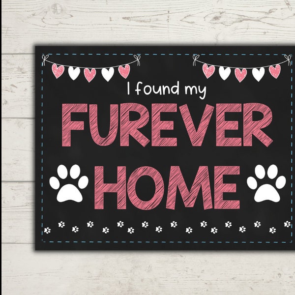 This is My Furever Home - Etsy