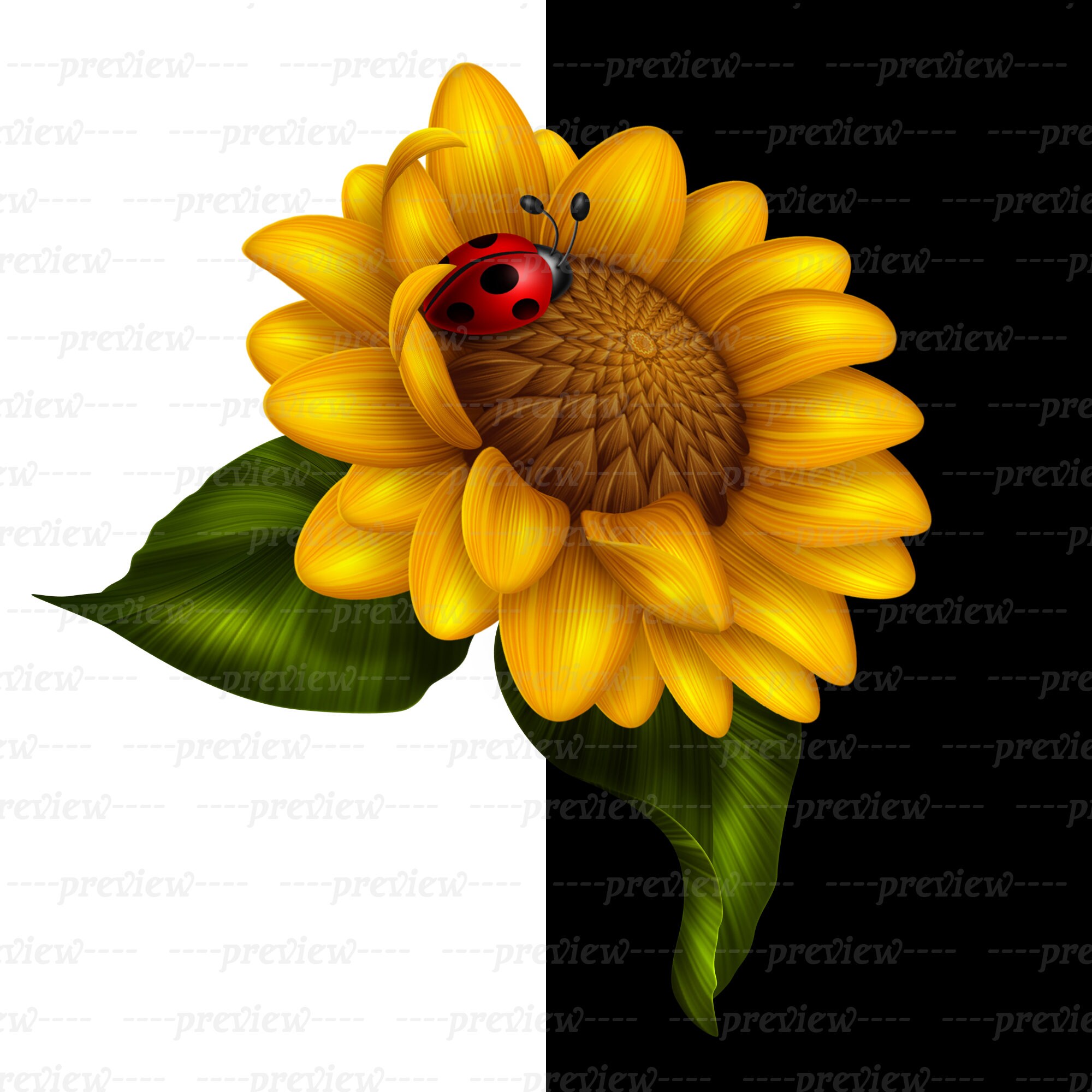 Instant Download, Digital File, PNG File Format, Digital Download ...