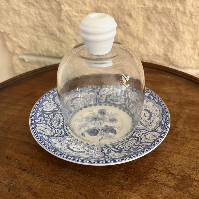 Mini Cloche - Etsy