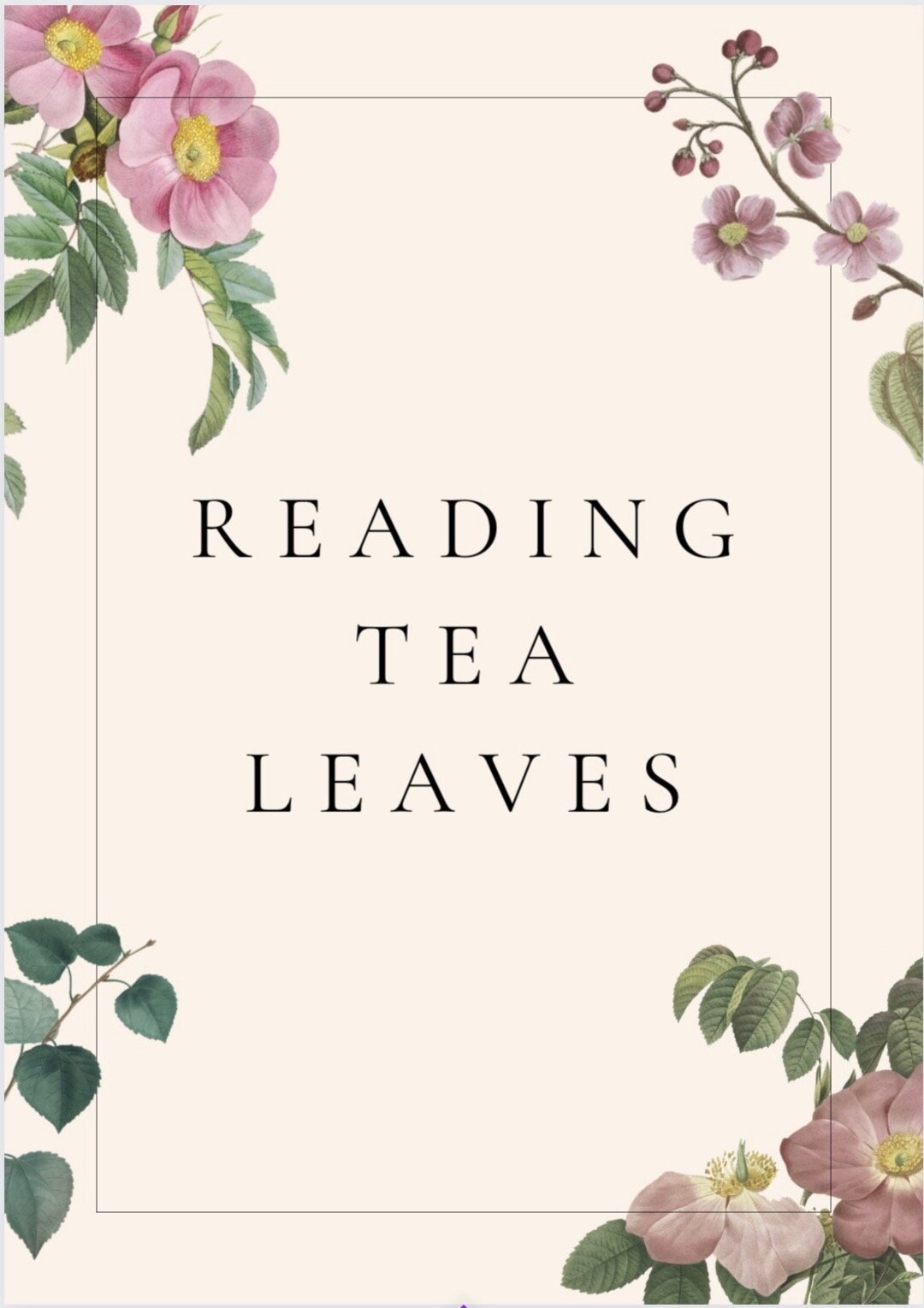 Tea Leaf Reading Booklet - Etsy
