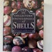The Collector’s Encyclopedia of Shells Book, by S. Peter Dance, Lover ...