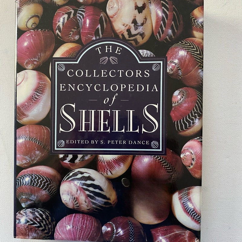 Shell Collector - Etsy