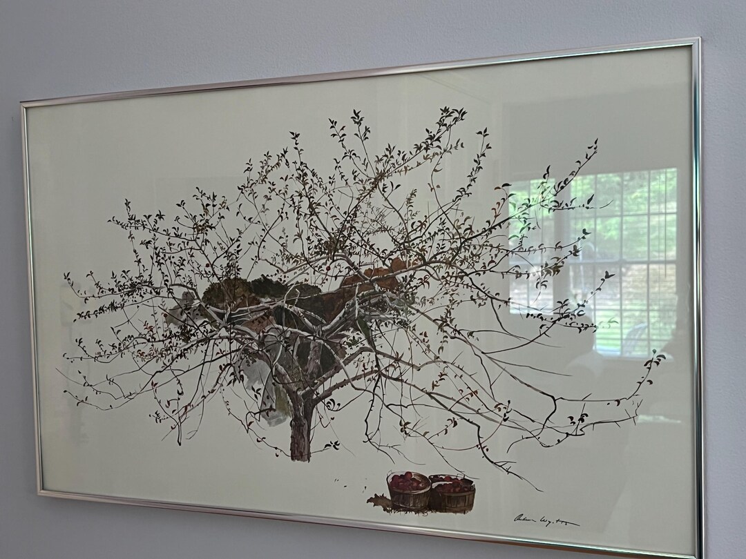 Andrew Wyeth Rare 1977 “after Picking” Collector Large Fine Art ...