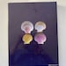 The Collector’s Encyclopedia of Shells Book, by S. Peter Dance, Lover ...