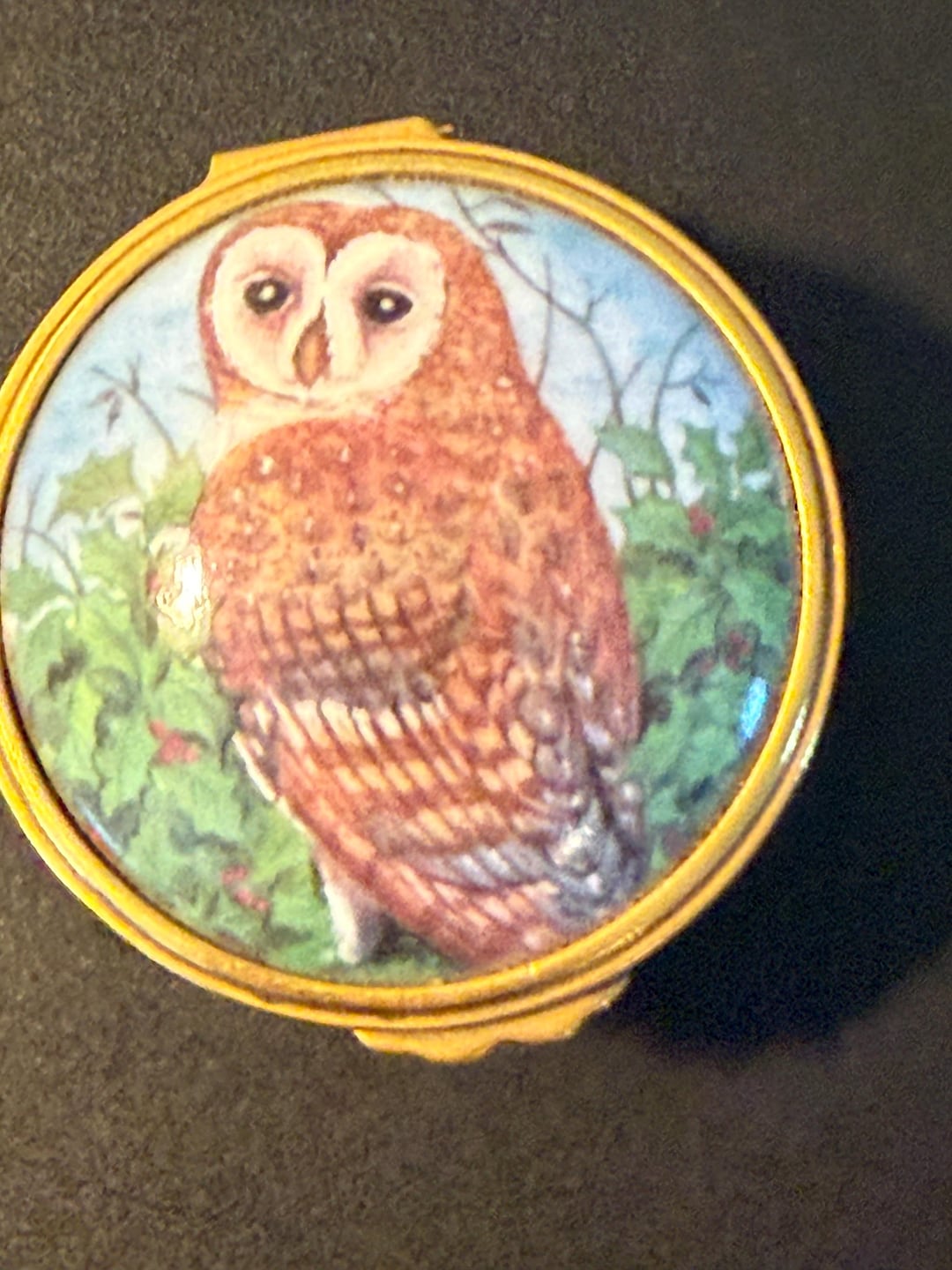 Vintage Barn Owl Trinket Box by Tyto Alba Fine Bone China Enamel Owl ...