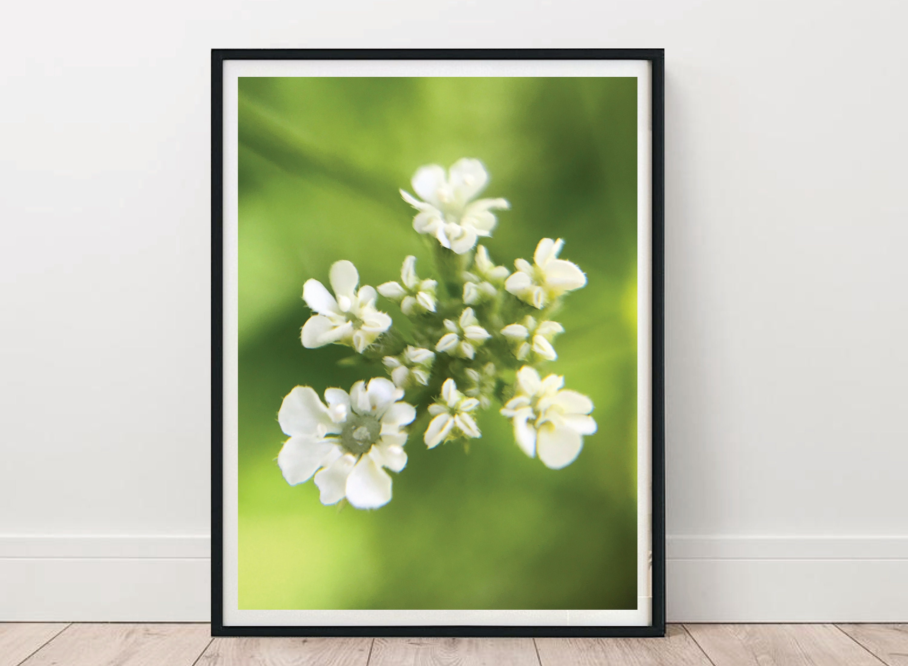 White Flower Print Flower Wall Art Floral Decor Instant - Etsy Denmark