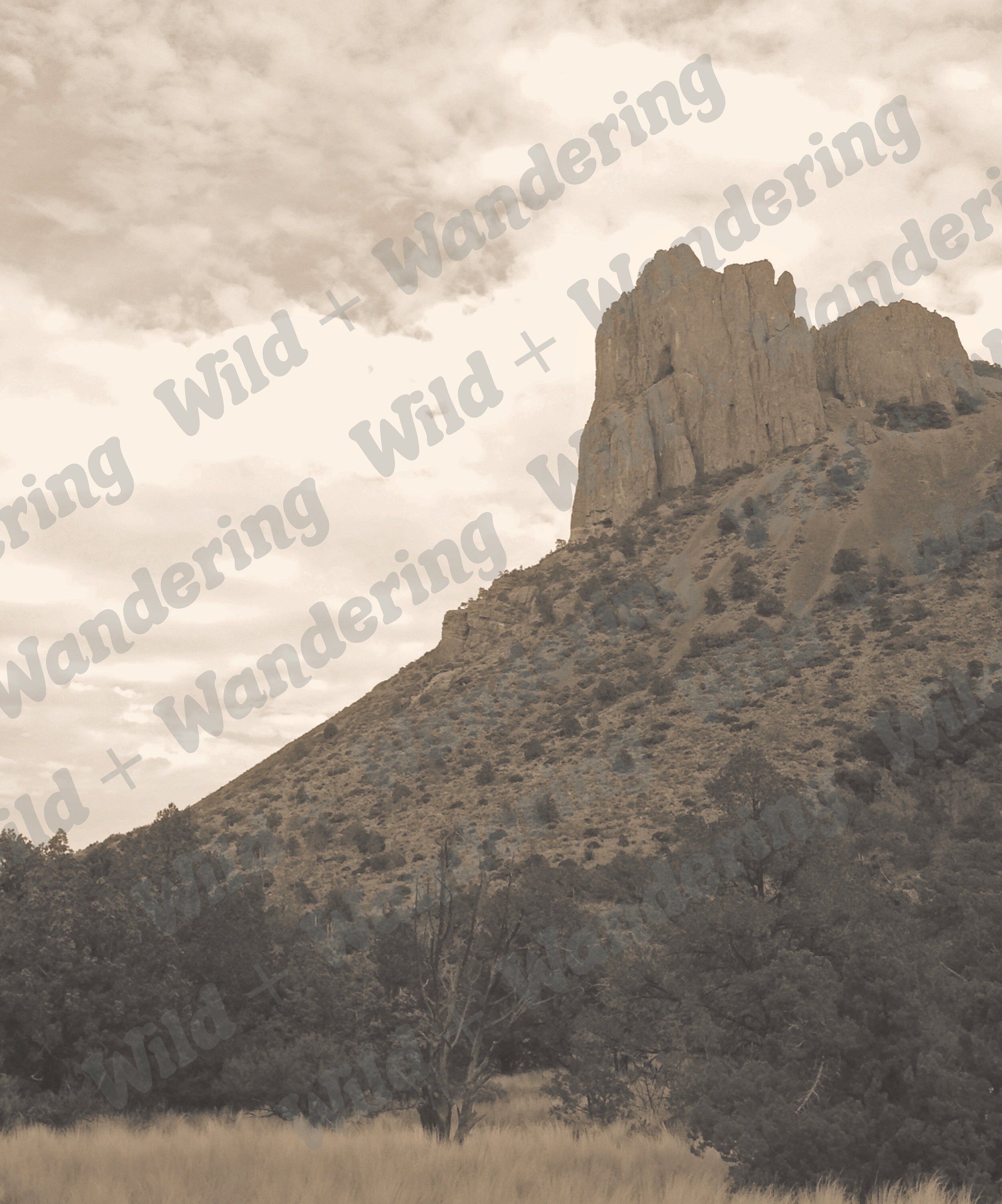 Mountain Printable, Big Bend Printable, Texas Printable, National Park ...