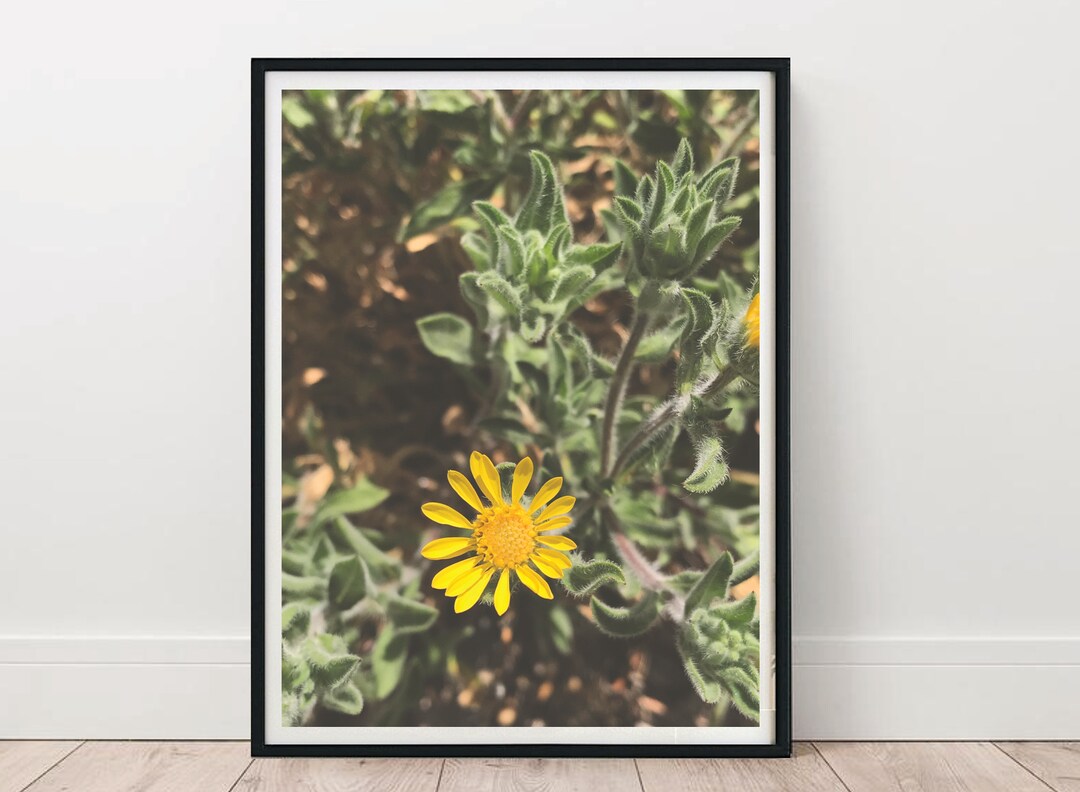 Desert Flower Print, Flower Wall Art, Yellow Flower, Floral Decor ...