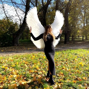 Rainbow Angel Wings,lgbt Pride Angel Wings,lgbt Pride,colorful Wings ...
