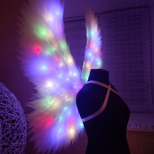 Rainbow Angel Wings,lgbt Pride Angel Wings,lgbt Pride,colorful Wings ...