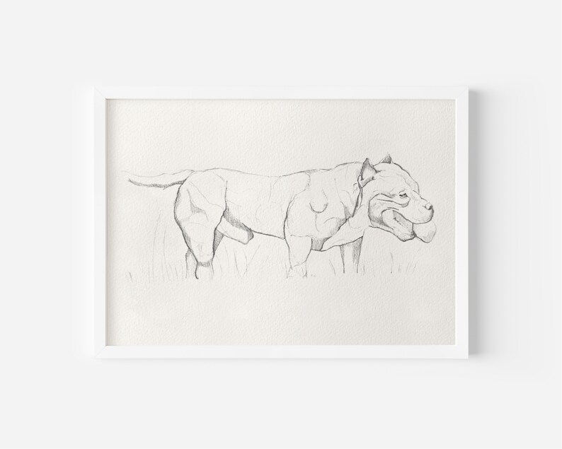 American Bully | XL Bully | American Bully Dog | Dog Drawing | Art ...