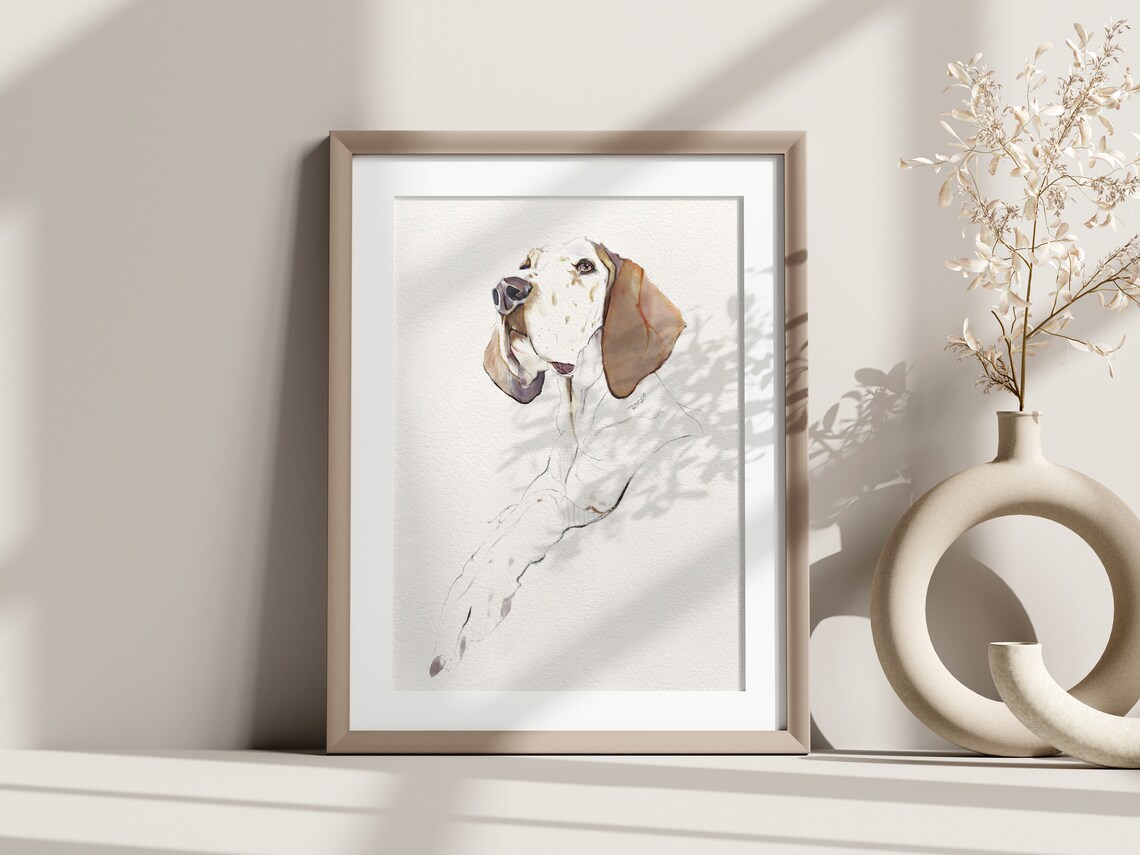 English Pointer Dog | English Pointer | Hunting Dog | Dog Drawing | Dog ...