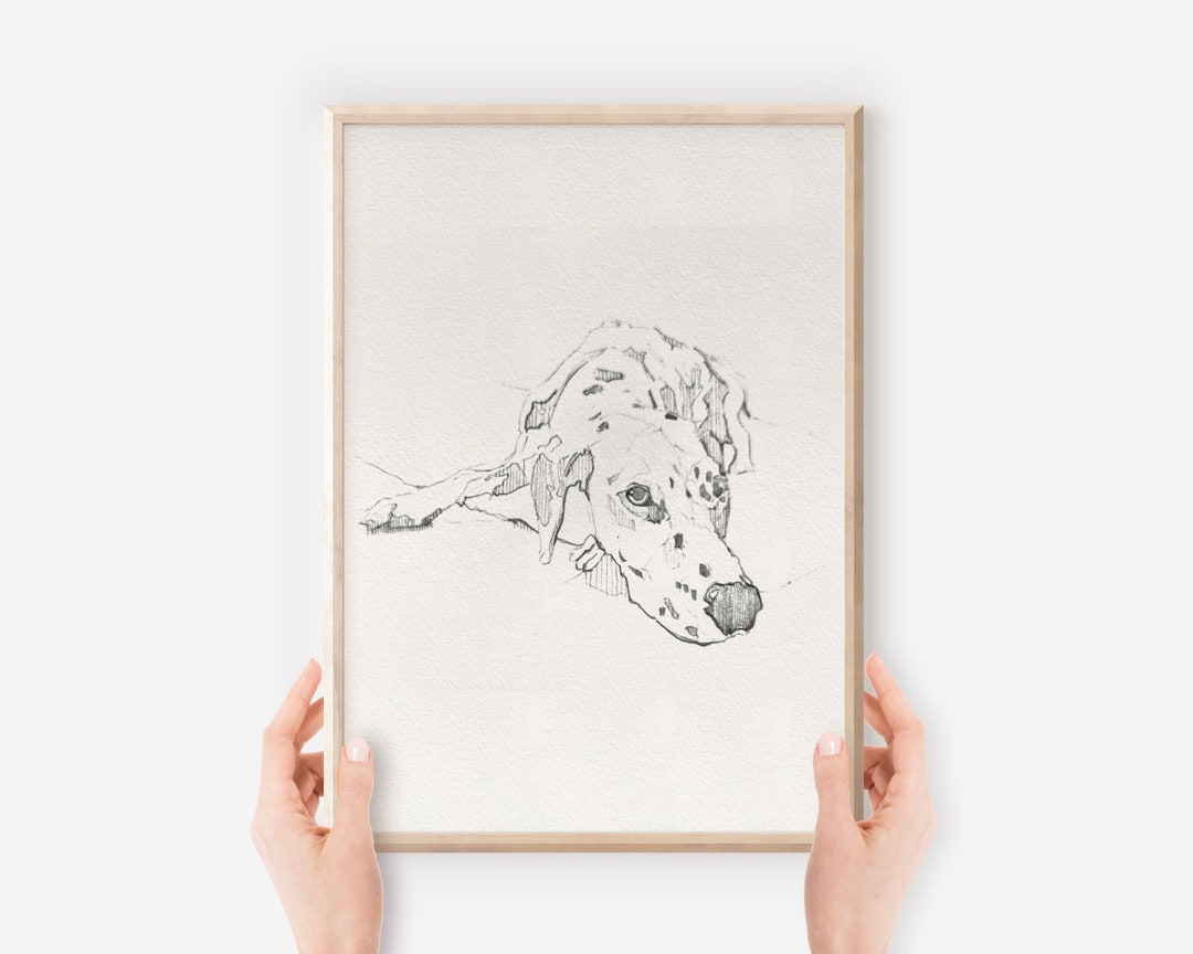 Dalmatian Art Print Hand-drawn Dalmatian Drawing Pencil Sketch Dog ...