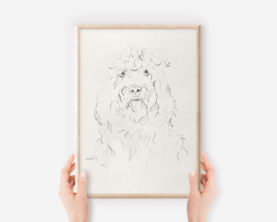 Cockapoo Cockapoo Dog Cockapoo Drawing Cockapoo Sketch Pencil Sketch ...