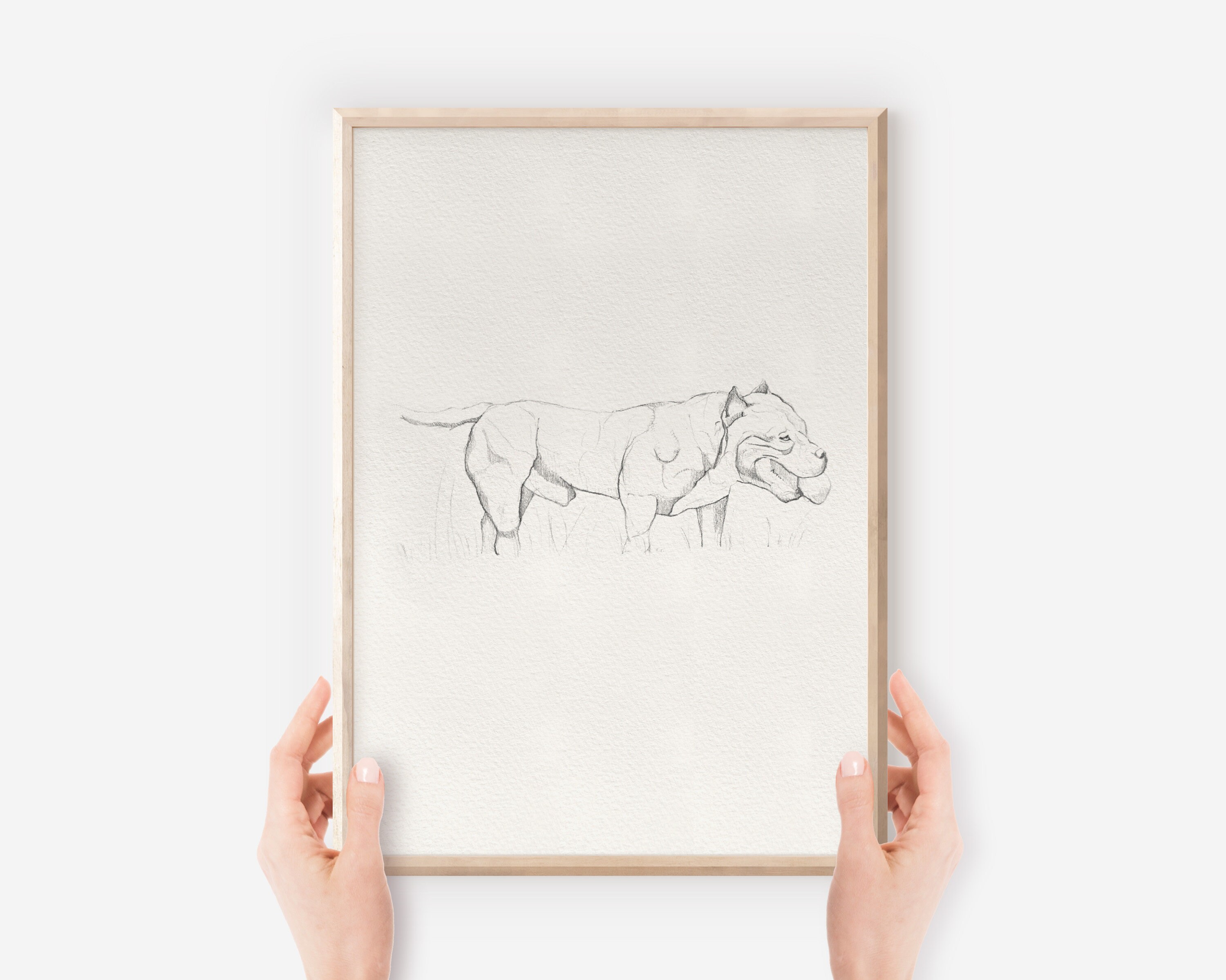 American Bully | XL Bully | American Bully Dog | Dog Drawing | Art ...