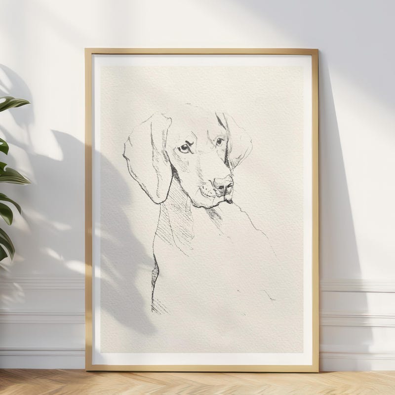 Vizsla Sketches - Etsy