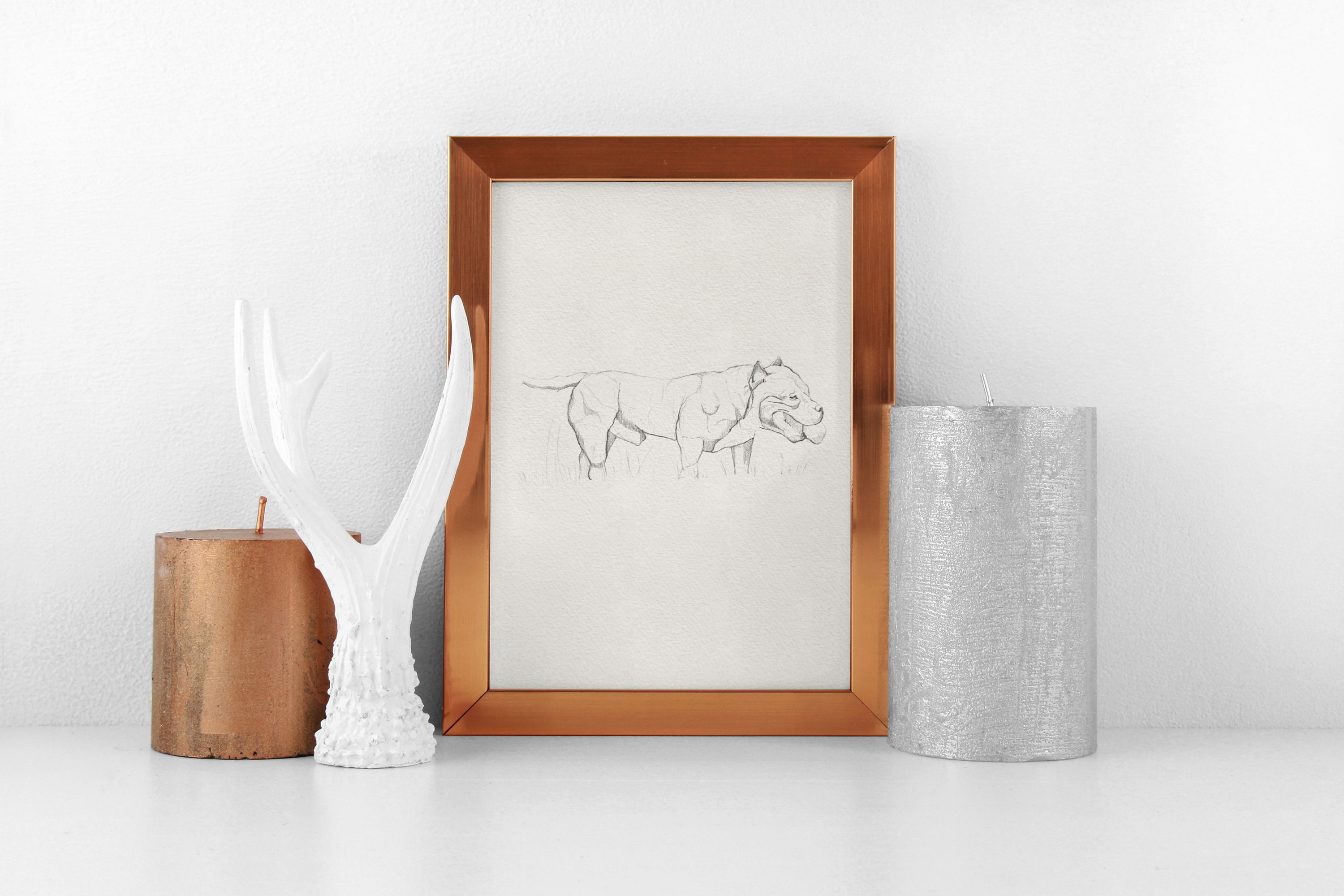 American Bully | XL Bully | American Bully Dog | Dog Drawing | Art ...