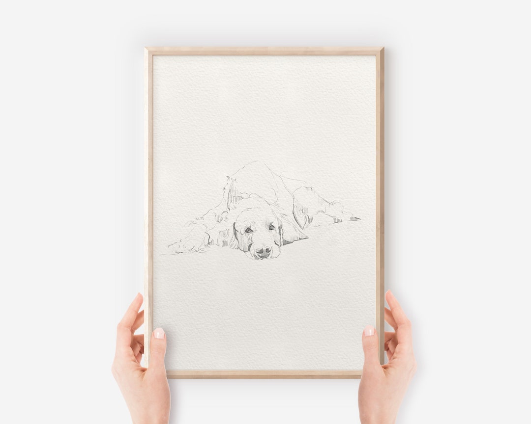 Irish Setter Pencil Drawing | Red Setter Art | Hand-drawn Dog Sketch ...
