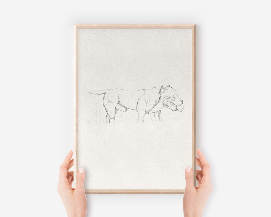 American Bully XL Bully Printable Instant Download Dog Drawing Pencil ...