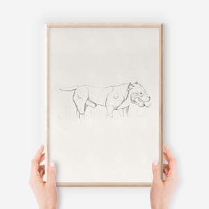American Bully | XL Bully | Printable | Instant Download | Dog Drawing ...